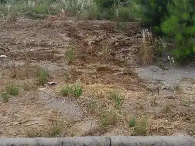 Terreno / Lote para Venda em Caxias do Sul/RS Nossa Senhora da Conceição