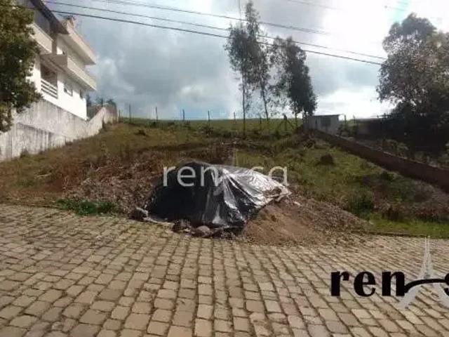 Terreno / Lote para Venda em Caxias do Sul/RS Nossa Senhora da Saúde