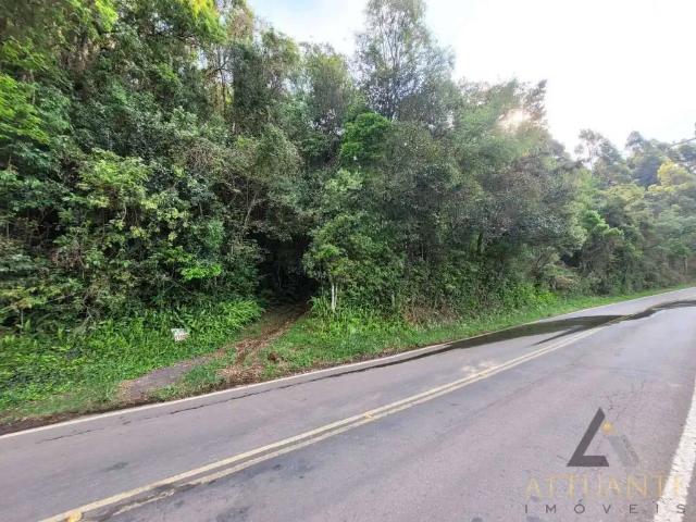 Terreno / Lote para Venda em Caxias do Sul/RS Nossa Senhora da Saúde