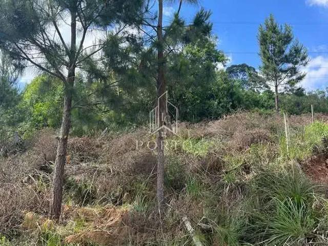 Terreno / Lote para Venda em Caxias do Sul/RS Nossa Senhora da Saúde