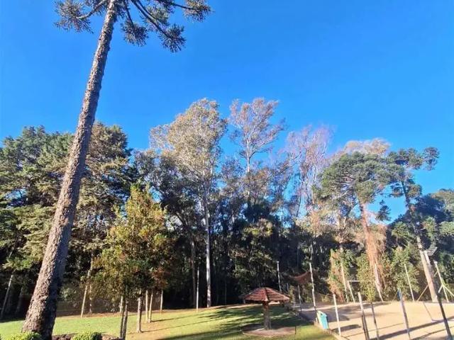 Terreno / Lote para Venda em Caxias do Sul/RS Nossa Senhora da Saúde