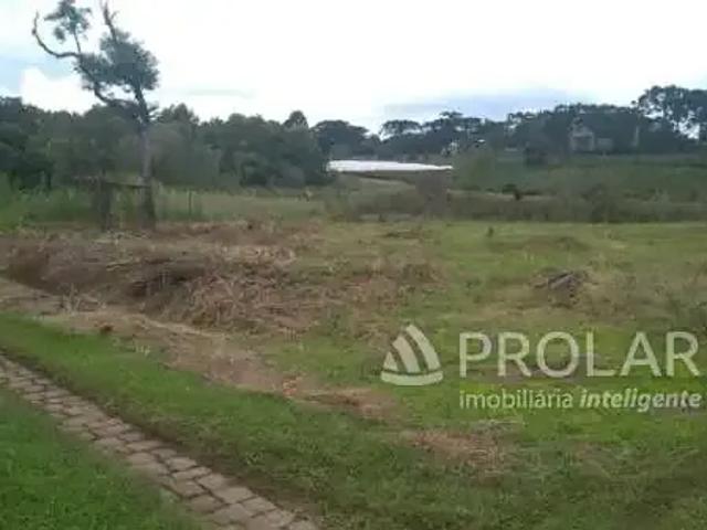 Terreno / Lote para Venda em Caxias do Sul/RS Nossa Senhora da Saúde