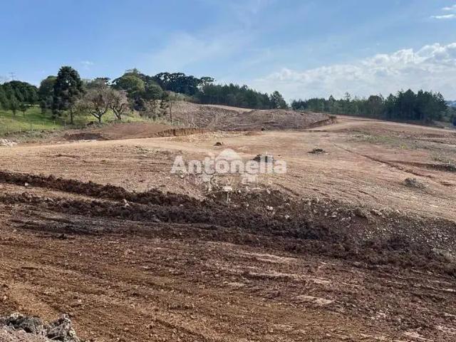 Terreno / Lote para Venda em Caxias do Sul/RS Nossa Senhora da Saúde