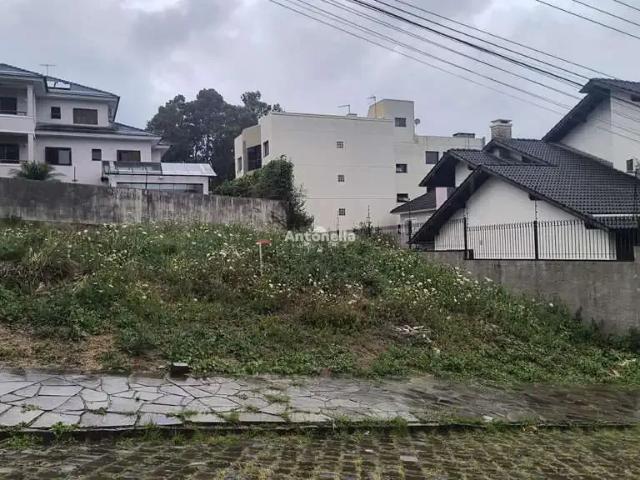 Terreno / Lote para Venda em Caxias do Sul/RS Nossa Senhora da Saúde
