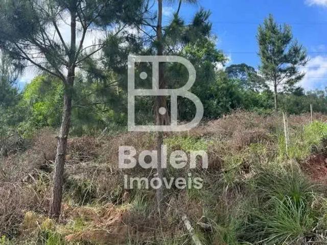 Terreno / Lote para Venda em Caxias do Sul/RS Nossa Senhora da Saúde