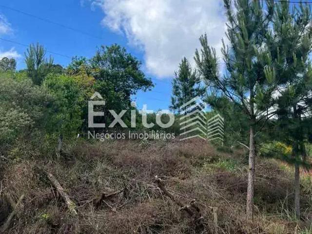 Terreno / Lote para Venda em Caxias do Sul/RS Nossa Senhora da Saúde