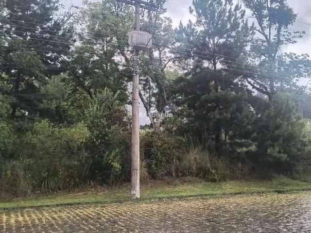 Terreno / Lote para Venda em Caxias do Sul/RS Nossa Senhora da Saúde