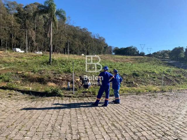 Terreno / Lote para Venda em Caxias do Sul/RS Nossa Senhora da Saúde