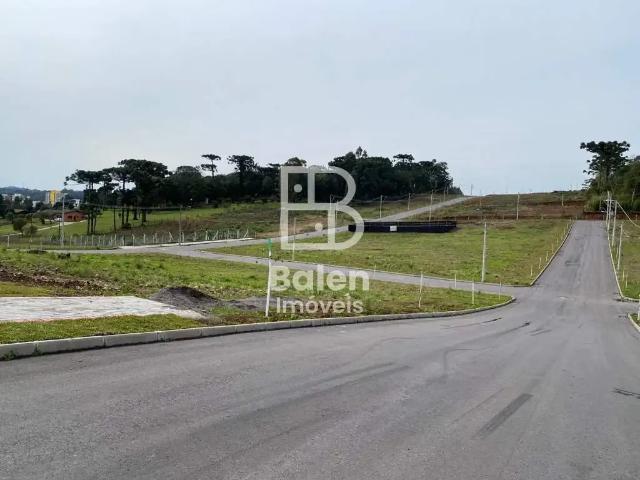 Terreno / Lote para Venda em Caxias do Sul/RS Nossa Senhora da Saúde