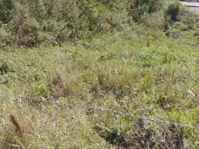 Terreno / Lote para Venda em Caxias do Sul/RS Nossa Senhora das Graças