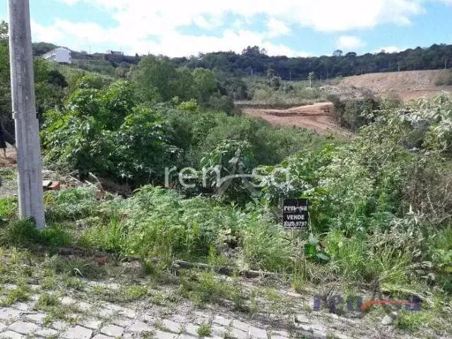 Terreno / Lote para Venda em Caxias do Sul/RS Nossa Senhora das Graças