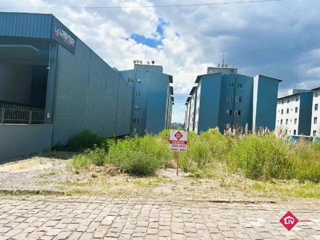 Terreno / Lote para Venda em Caxias do Sul/RS Nossa Senhora das Graças
