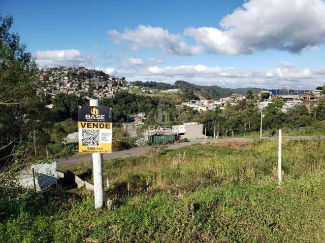 Terreno / Lote para Venda em Caxias do Sul/RS Nossa Senhora das Graças
