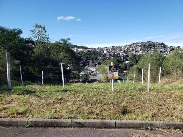 Terreno / Lote para Venda em Caxias do Sul/RS Nossa Senhora das Graças