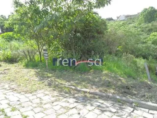 Terreno / Lote para Venda em Caxias do Sul/RS Nossa Senhora das Graças