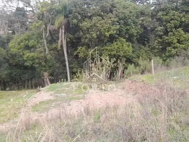 Terreno / Lote para Venda em Caxias do Sul/RS Nossa Senhora das Graças