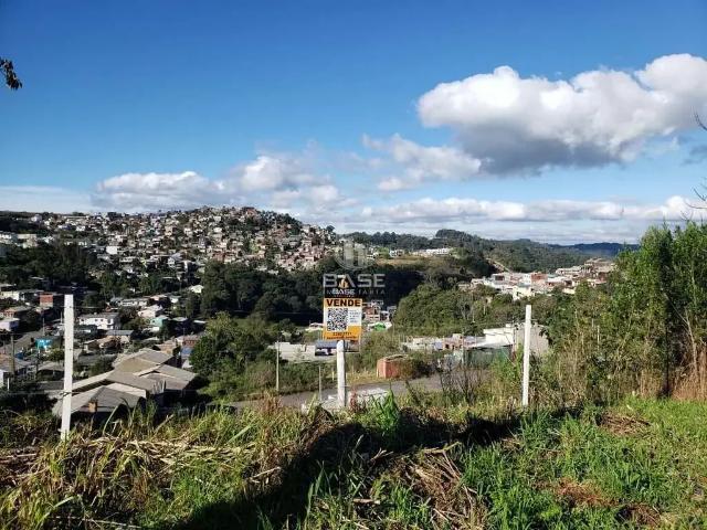 Terreno / Lote para Venda em Caxias do Sul/RS Nossa Senhora das Graças