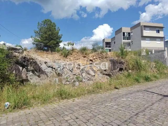 Terreno / Lote para Venda em Caxias do Sul/RS Nossa Senhora das Graças