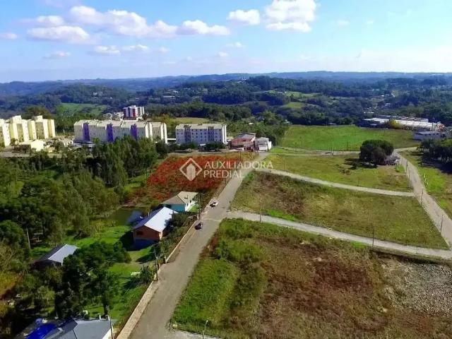Terreno / Lote para Venda em Caxias do Sul/RS Nossa Senhora das Graças