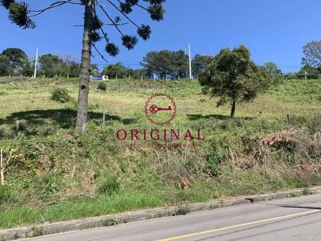 Terreno / Lote para Venda em Caxias do Sul/RS Nossa Senhora das Graças