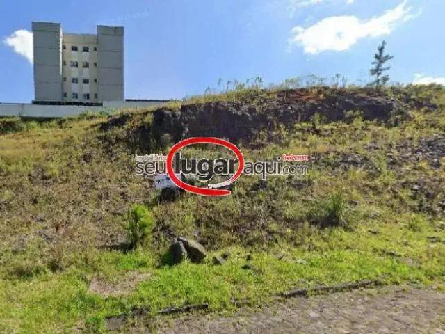 Terreno / Lote para Venda em Caxias do Sul/RS Nossa Senhora das Graças