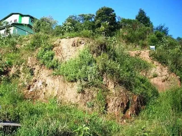 Terreno / Lote para Venda em Caxias do Sul/RS Nossa Senhora das Graças
