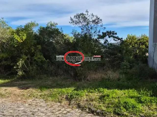 Terreno / Lote para Venda em Caxias do Sul/RS Nossa Senhora das Graças