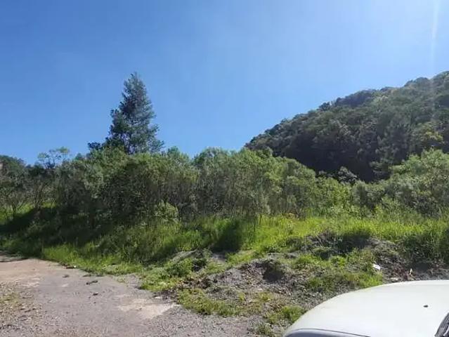 Terreno / Lote para Venda em Caxias do Sul/RS Nossa Senhora das Graças