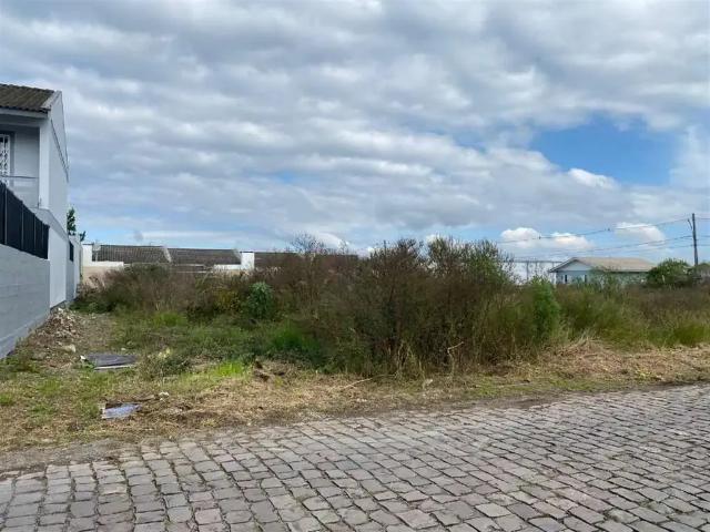 Terreno / Lote para Venda em Caxias do Sul/RS Nossa Senhora das Graças