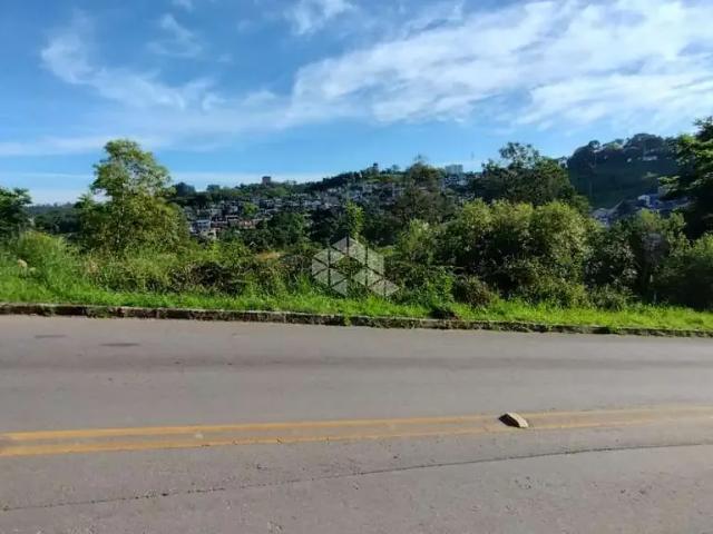 Terreno / Lote para Venda em Caxias do Sul/RS Nossa Senhora das Graças