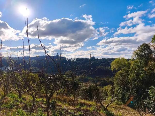Terreno / Lote para Venda em Caxias do Sul/RS Nossa Senhora das Graças