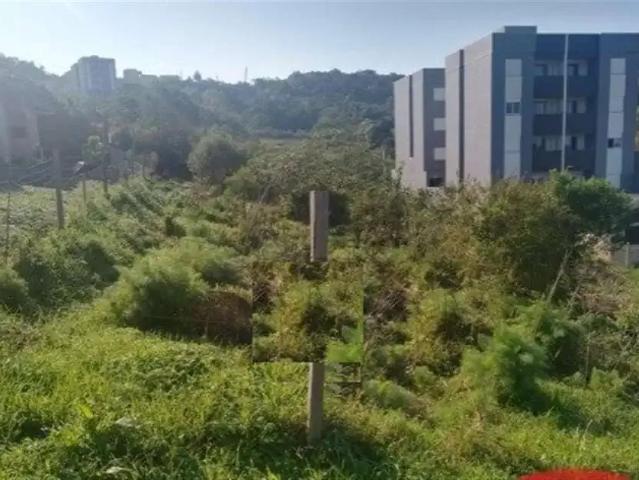 Terreno / Lote para Venda em Caxias do Sul/RS Nossa Senhora das Graças