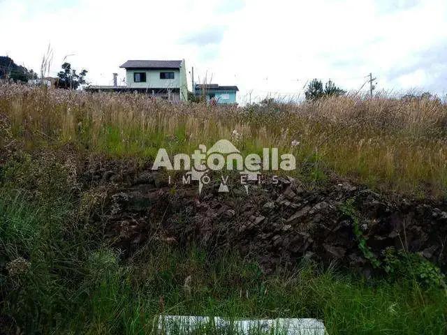 Terreno / Lote para Venda em Caxias do Sul/RS Nossa Senhora das Graças