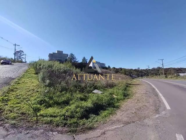 Terreno / Lote para Venda em Caxias do Sul/RS Nossa Senhora das Graças