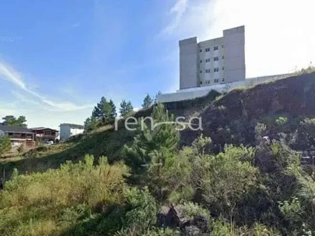 Terreno / Lote para Venda em Caxias do Sul/RS Nossa Senhora das Graças