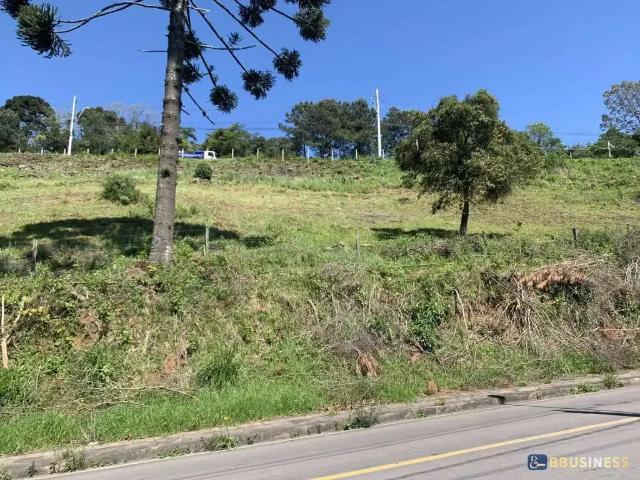 Terreno / Lote para Venda em Caxias do Sul/RS Nossa Senhora das Graças