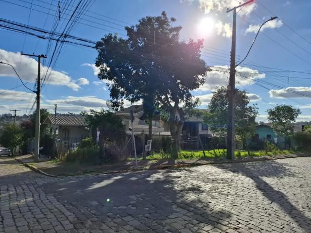 Terreno / Lote para Venda em Caxias do Sul/RS Nossa Senhora de Fátima
