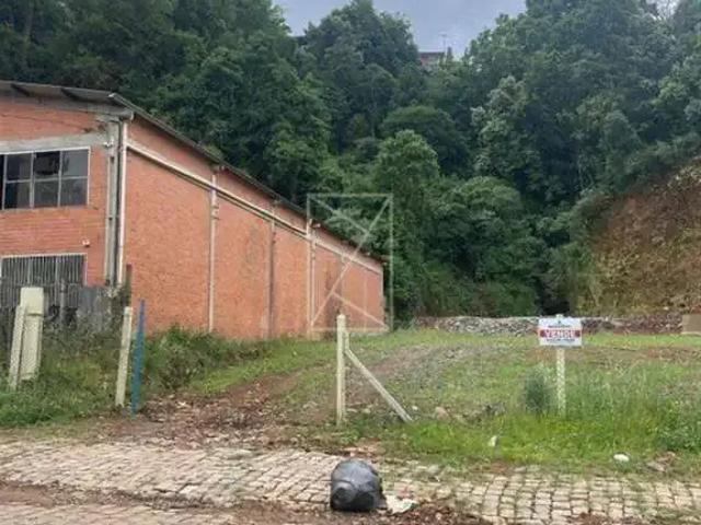 Terreno / Lote para Venda em Caxias do Sul/RS Nossa Senhora de Fátima