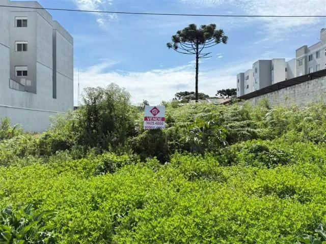 Terreno / Lote para Venda em Caxias do Sul/RS Nossa Senhora do Rosário