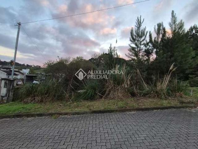 Terreno / Lote para Venda em Caxias do Sul/RS São Caetano