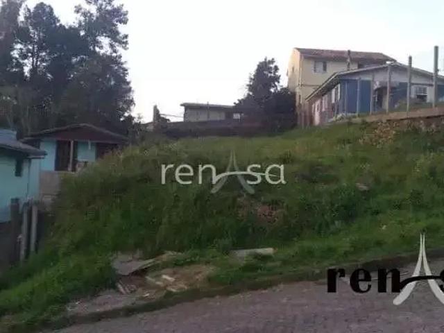 Terreno / Lote para Venda em Caxias do Sul/RS São Caetano