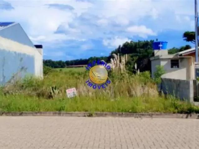 Terreno / Lote para Venda em Caxias do Sul/RS São Caetano