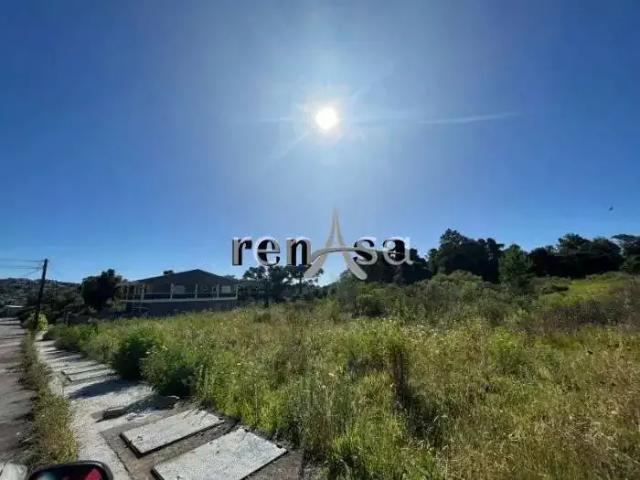 Terreno / Lote para Venda em Caxias do Sul/RS São Caetano