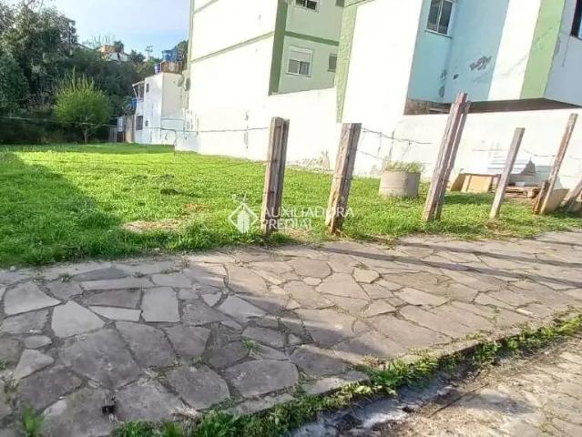 Terreno / Lote para Venda em Caxias do Sul/RS São Caetano