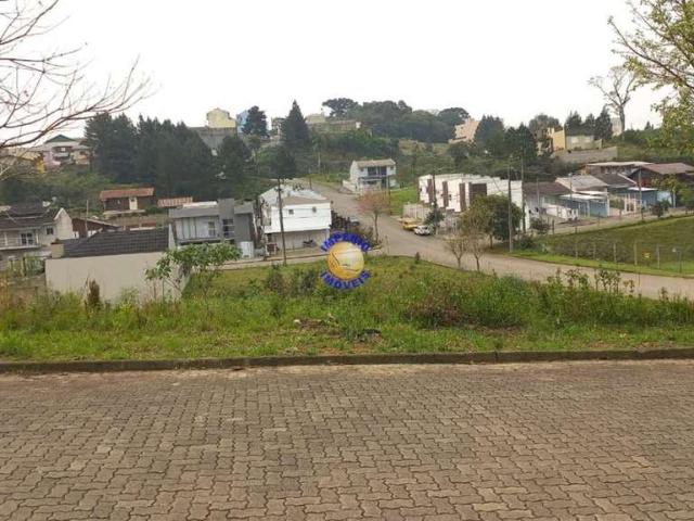 Terreno / Lote para Venda em Caxias do Sul/RS São Caetano