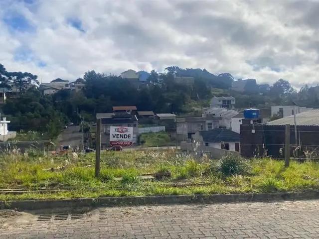 Terreno / Lote para Venda em Caxias do Sul/RS São Caetano