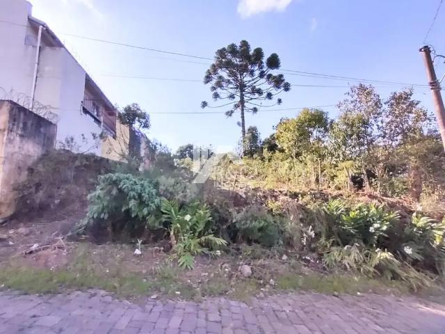 Terreno / Lote para Venda em Caxias do Sul/RS São Caetano