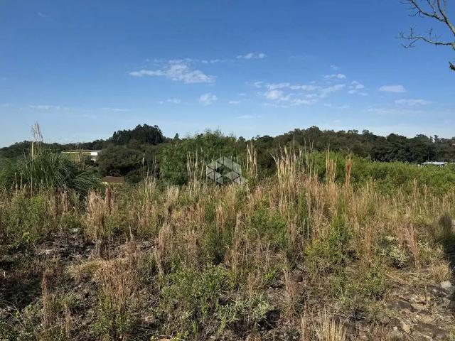 Terreno / Lote para Venda em Caxias do Sul/RS São Caetano