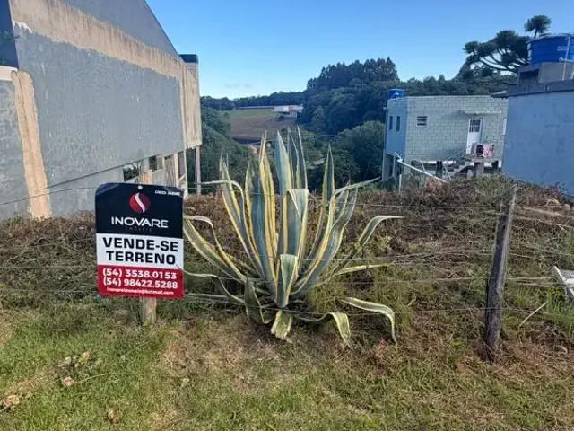 Terreno / Lote para Venda em Caxias do Sul/RS São Caetano