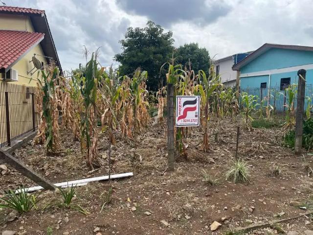 Terreno / Lote para Venda em Caxias do Sul/RS São Caetano